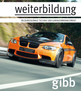 Vorspur, Nachspur - Race Car Suspension Setup-Beratung / Engineering