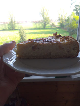 Cookies, pies and cake - mycrazyfoodadventuress Webseite!