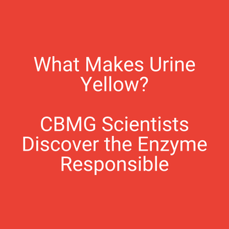 RECENT CBMG NEWS - Cell Biology & Molecular Genetics