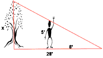 Razón de semejanza - Página web de mateberri3