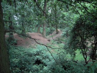Hobs Moat - History of Birmingham Places A to Y