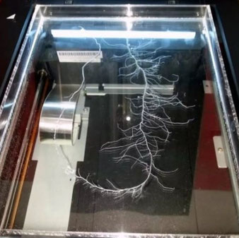 Root Scanning Trays - Vienna Scientific