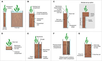 Root & Rhizosphere Monitoring - Rhizobox - Vienna Scientific