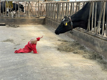 Kinderopvang - Bij Boer Bas | Kinderopvang op de boerderij