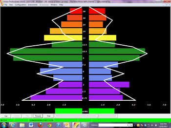 Institute For The Awakened Mind - Mind Mirror EEG Experts - Institute ...