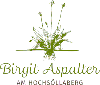 birgit aspalter - Birgit Aspalter am Höchsöllaberg