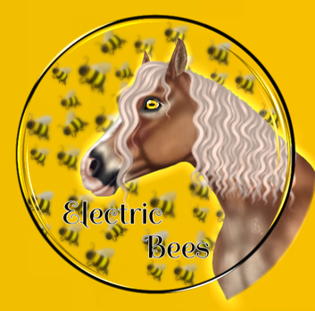 Über uns - electric-bees-officials Webseite!