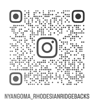 Nyangoma Rhodesian Ridgeback Kennel - Nyangoma