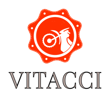 ROVER 200 EFI - vitacci