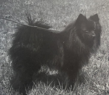 The Mittel Spitz - Preußenspitz