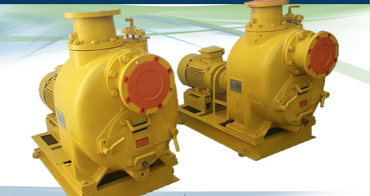 Lagoon digester - biogas plant -covered lagoon digester - Covered ...