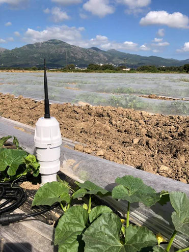 Suivez en temps réel l'humidité de votre sol pour une prise de décision ...