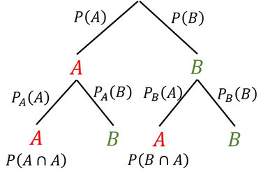 Baumdiagramm und Pfadregeln - Studimup.de