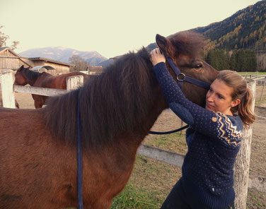 Tierarzt Mag. med. vet. Alexandra Frosch - Tierarzt Mag. med. vet ...
