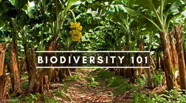 SEMESTER 2 - edbiologykmpk