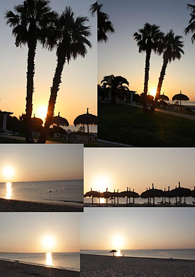 Voyage au pays du jasmin - Site de passionphotosvoyages