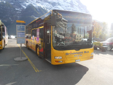 Busse Autoverkehr Grindelwald - postauto-ruetiwalds Webseite!