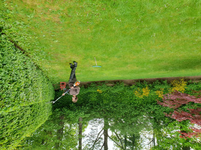 Jardinerie et entreprise de jardins à Woluwe - La Serre Outil