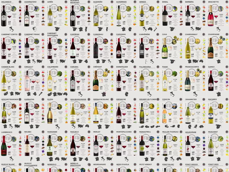 Wijndruiven Overzicht en Wijn Guides - Wijn Wine Wein