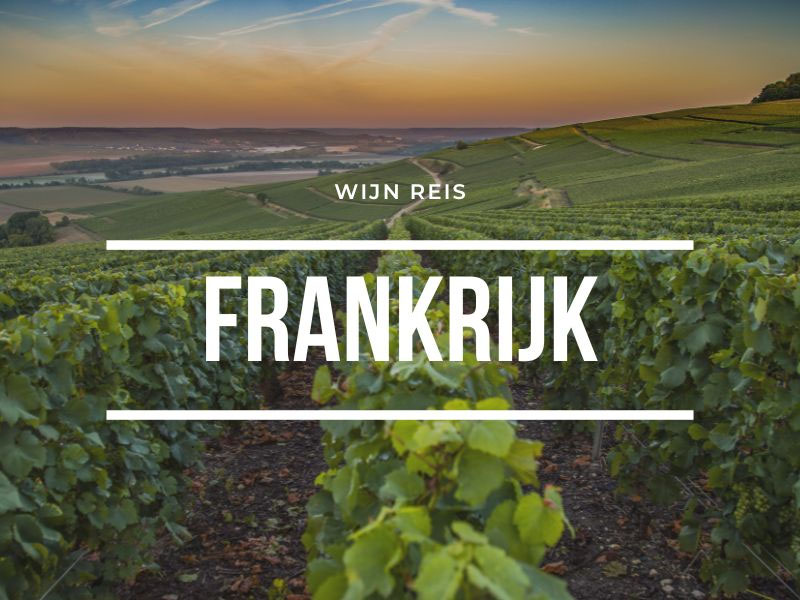 Wijnreis Frankrijk - Tips, Wijngebieden en Wijnproeverijen - Wijn Wine Wein