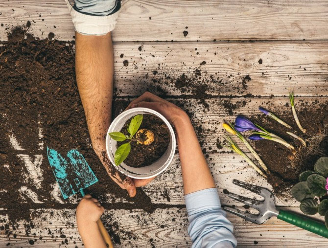 Steflor: gli eventi del 24 e 25 febbraio - Benvenuti su pinkandchic!