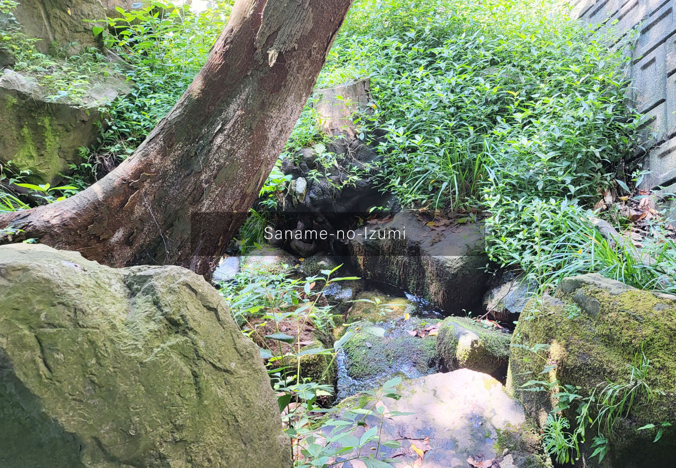 16. SANAME-NO-IZUMI SPRING - bisui-stamprally ページ！