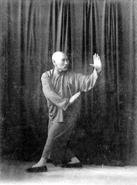 Le cinquanta figure dell’esercizio di Fu Zhensong - meihuaquan