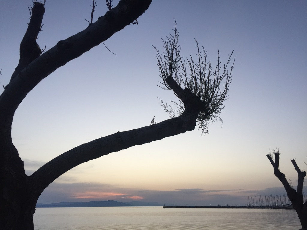 Winter auf Kos im Lockdown - susannsneuewelts Webseite!