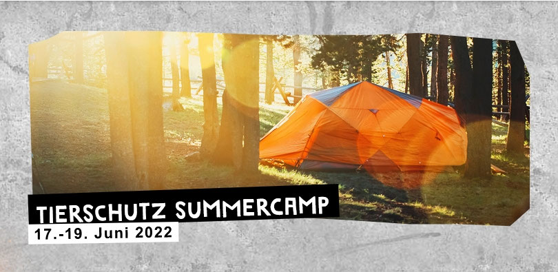 Summercamp 2022 - Pechpfoten e.V.
