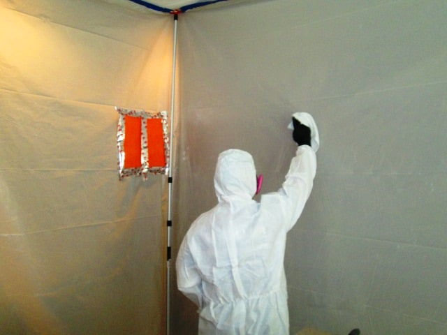 EPA: Ten Things You Should Know about Mold - Consult 1