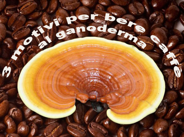 CAFFE' CON GANODERMA 3 BENEFICI DA SAPERE - Benvenuti su ganoderma-vita!