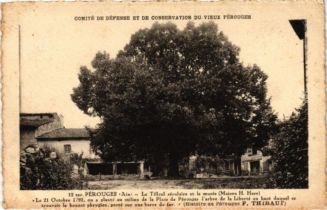 1792 : les arbres de la Liberté dans l'Ain - Site de sehrileblog