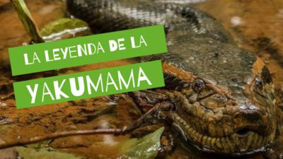 La Leyenda de la Yacumama - Yakumama Amazon Tours
