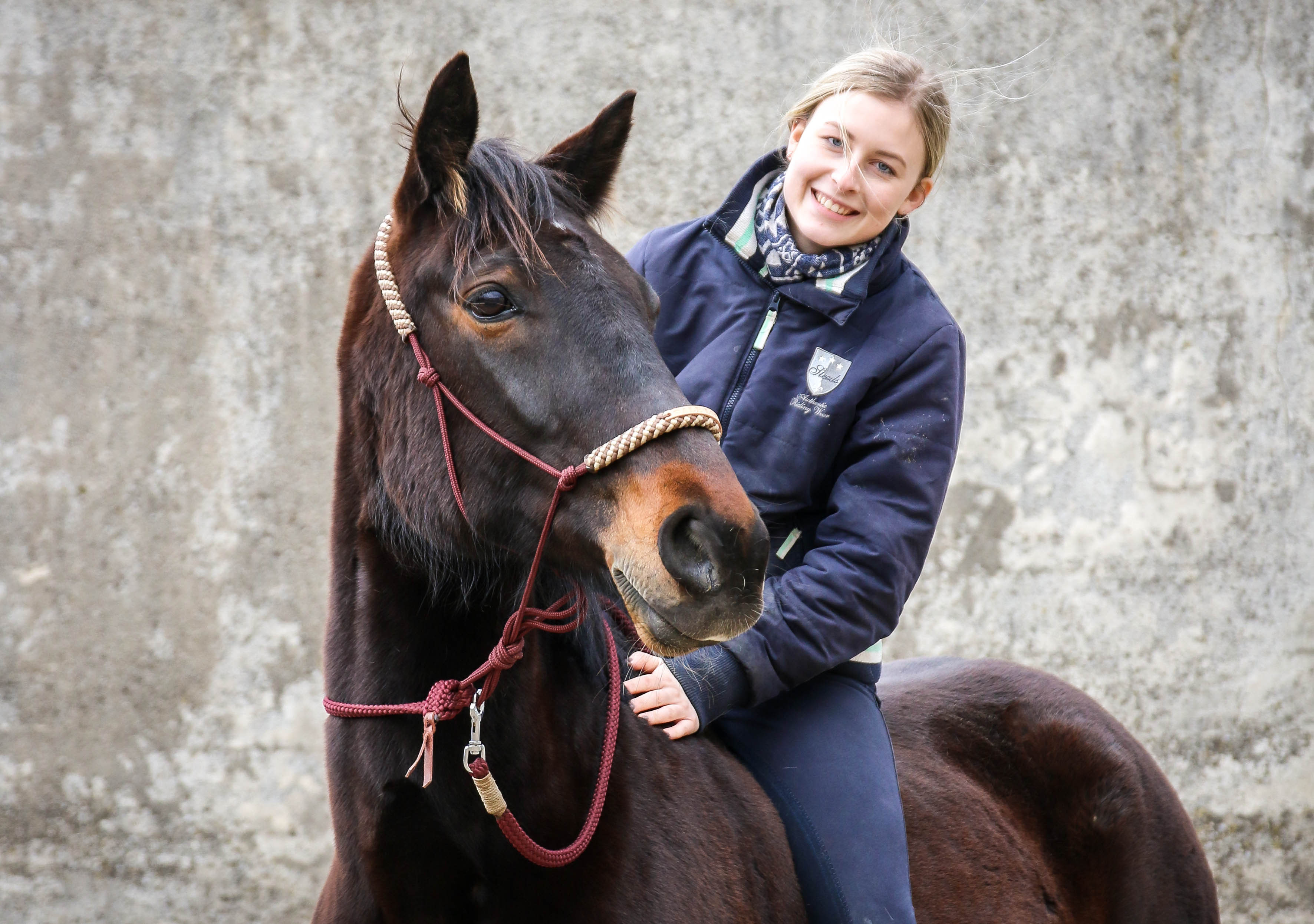 Islandpferdereiter meets Traber - dasnamenlosetrios Webseite!