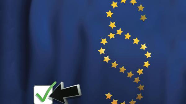 Hilfe! Ich weiß nicht, welche Widgets oder Elemente ich auf meiner Website habe? - Boris Thienert