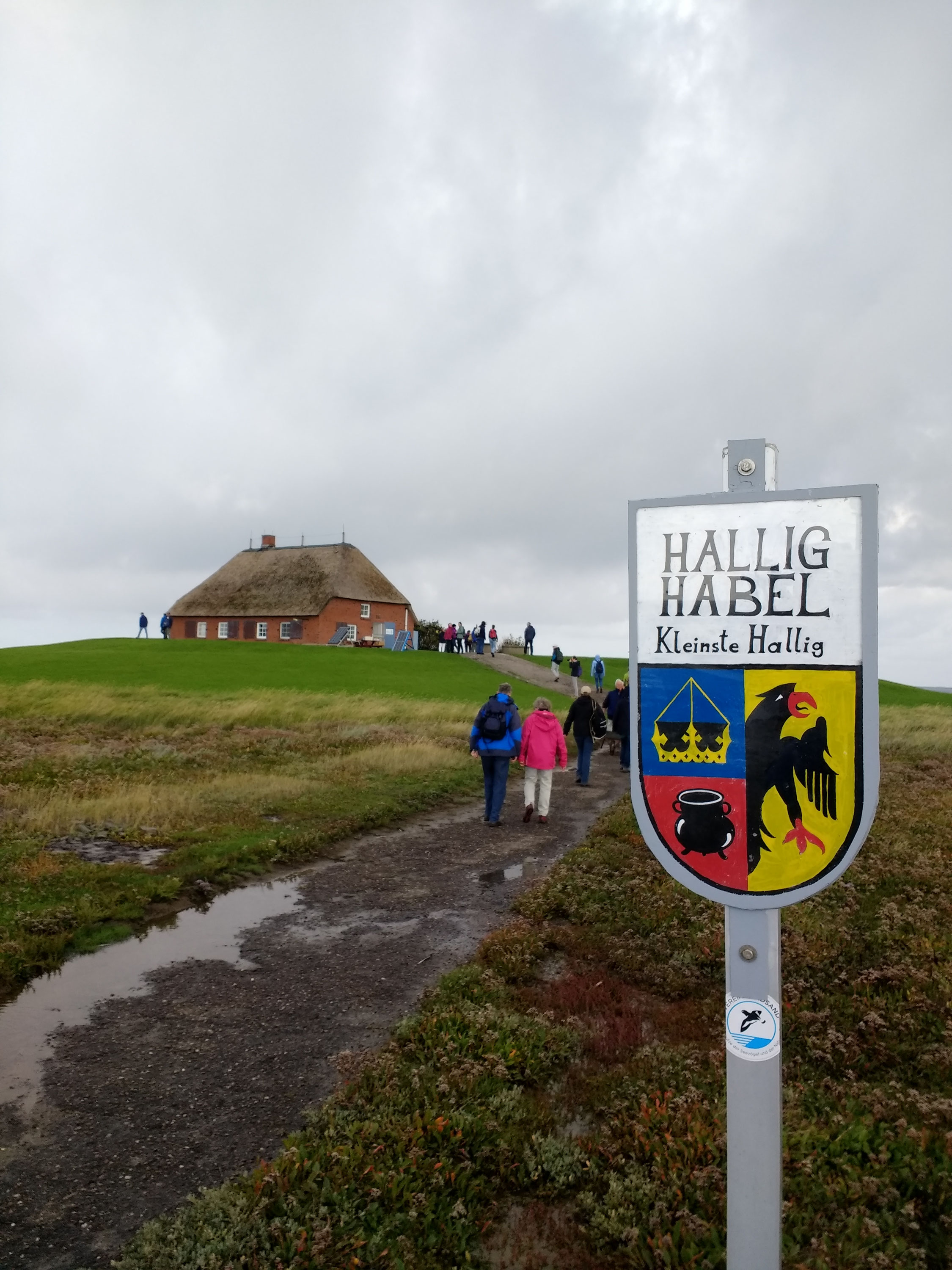Einmalige Exkursion zur Hallig Habel - Verein Jordsand e.V.