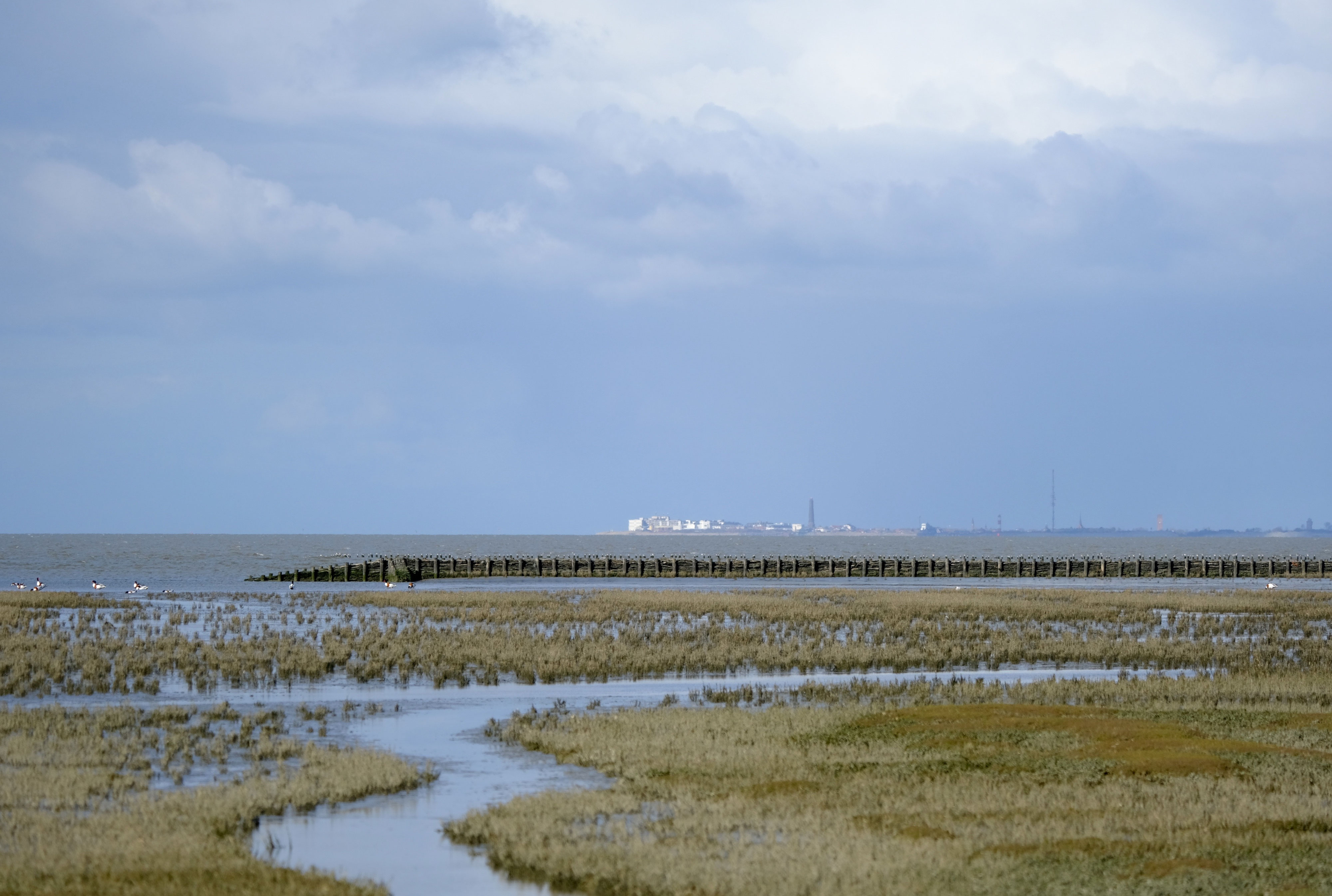 Natuurgebied Uithuizerwad - Mooigrunnen.nl