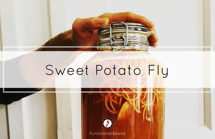 Sweet Potato Fly - Functional Basics by Carsten Wölffling ...