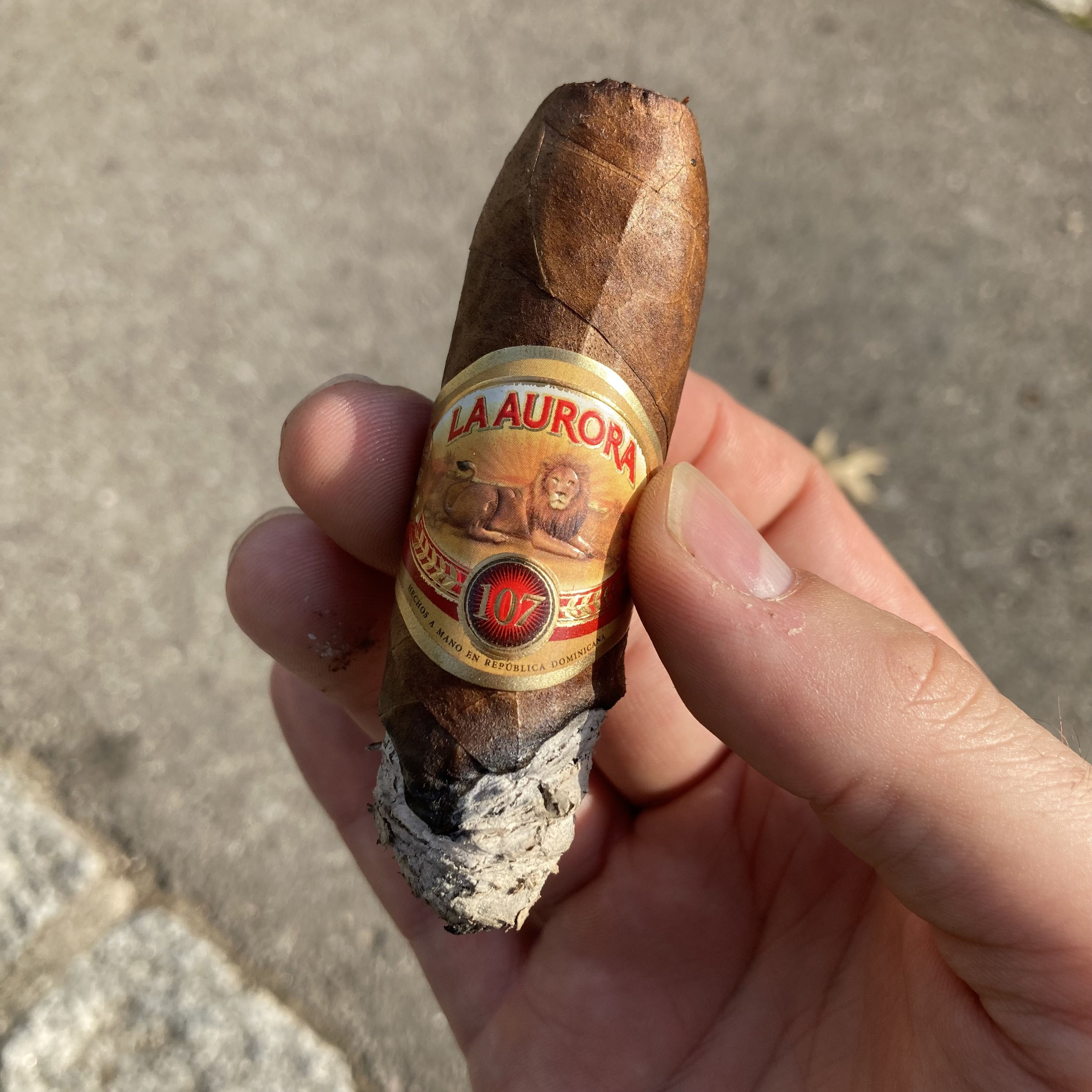 La Aurora 107 Zeppelin - cigar-humidors Webseite!