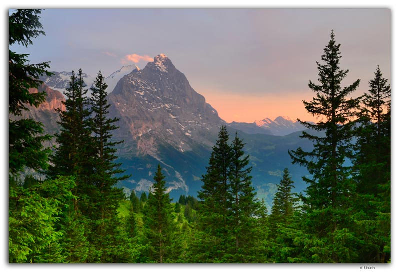 2023 - David Brandenberger d-t-b.ch