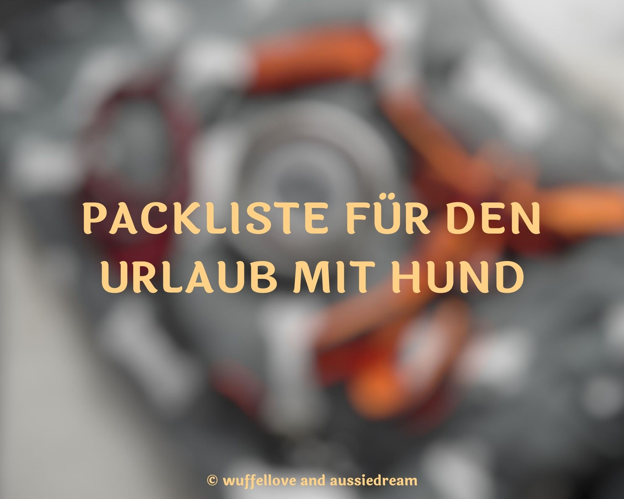 Ab in den Urlaub - Die Packliste für den Urlaub mit Hund (+ Download ...