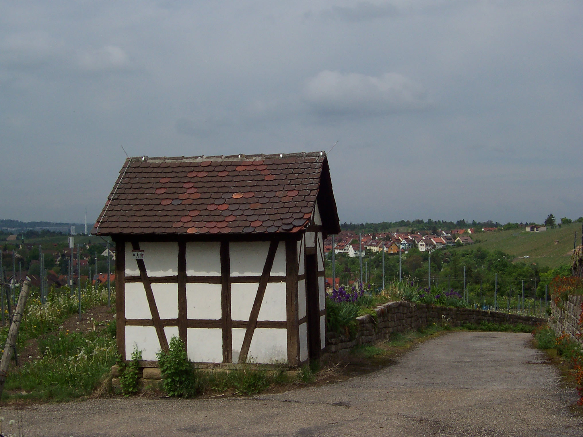 CMT 2024 - Die schwäbische Alb - genussregion-stuttgart