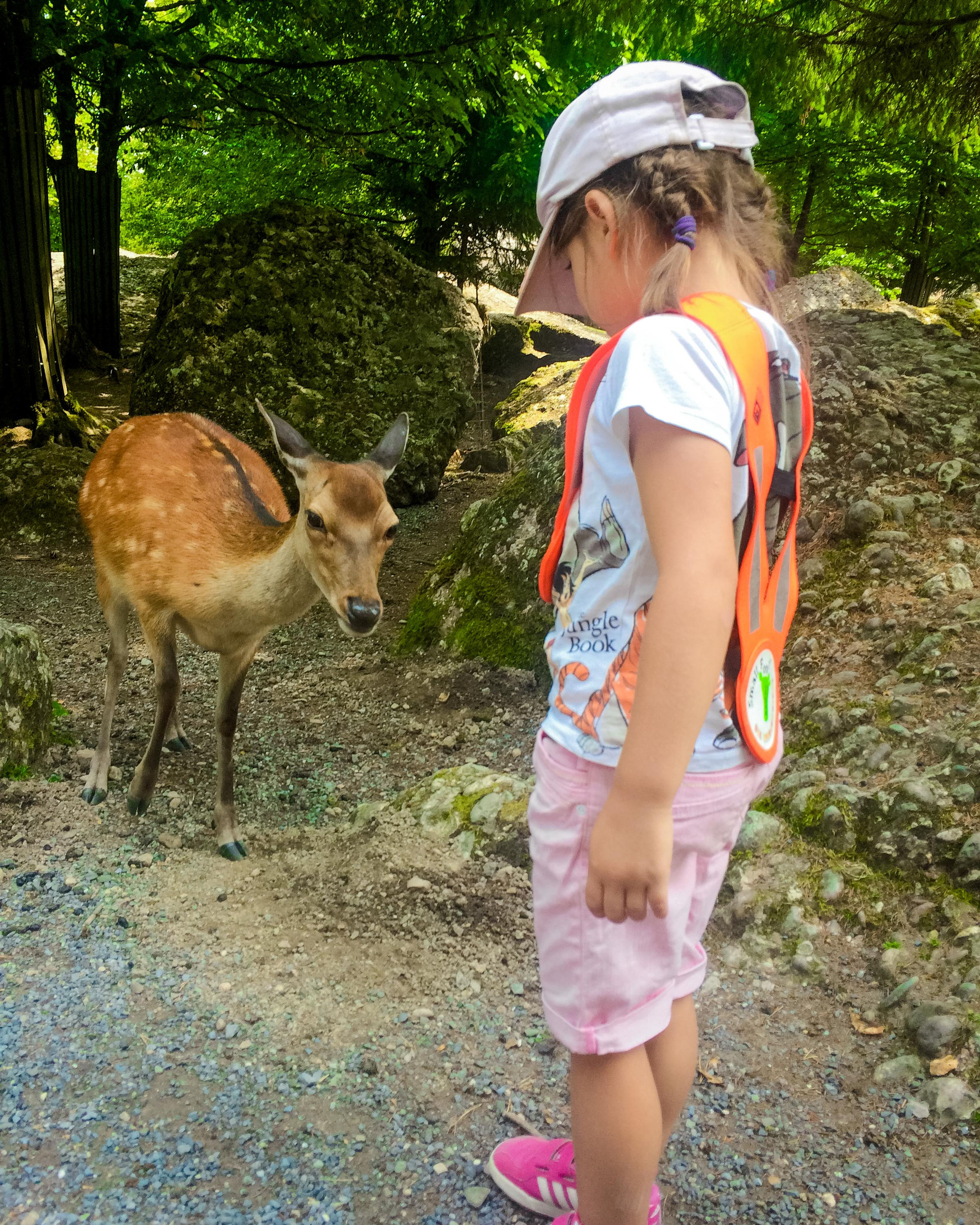 Ausflug in den Tierpark Arth - Goldau - small Foot