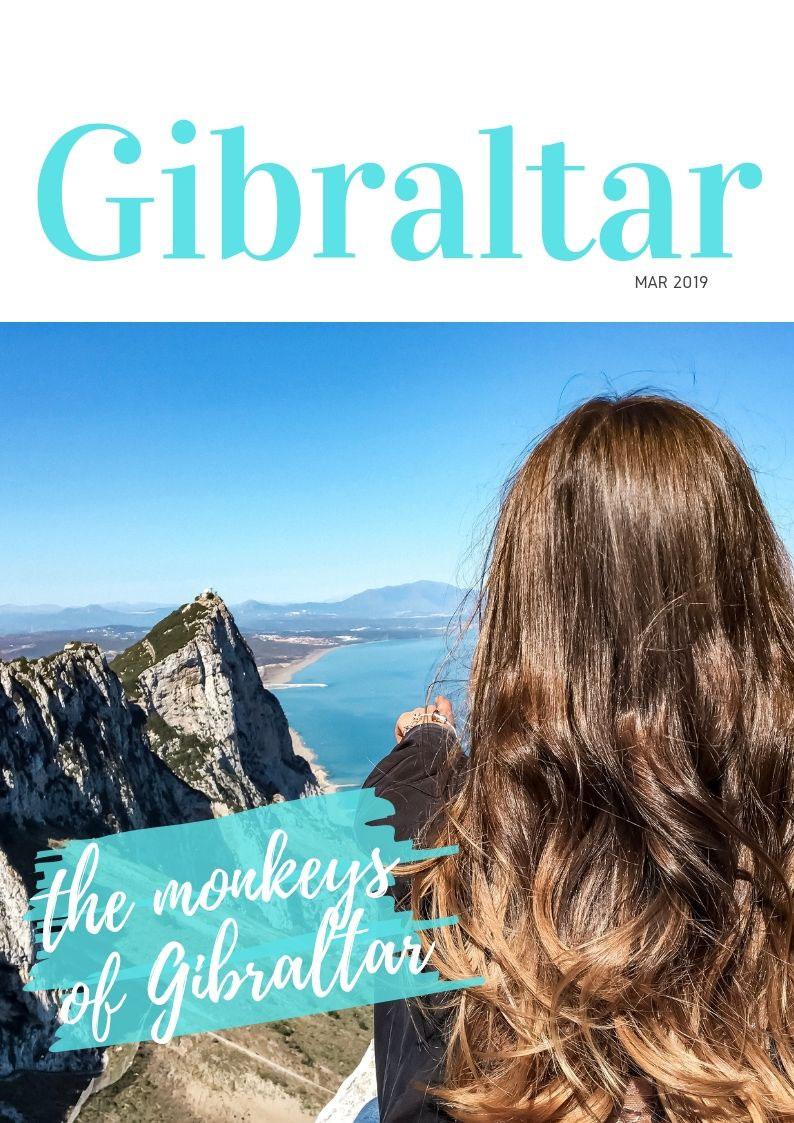 Must see -the monkeys of Gibraltar - Celine Michelle -travel, fashion ...