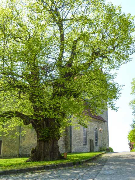 Shaker Design - seeland.online