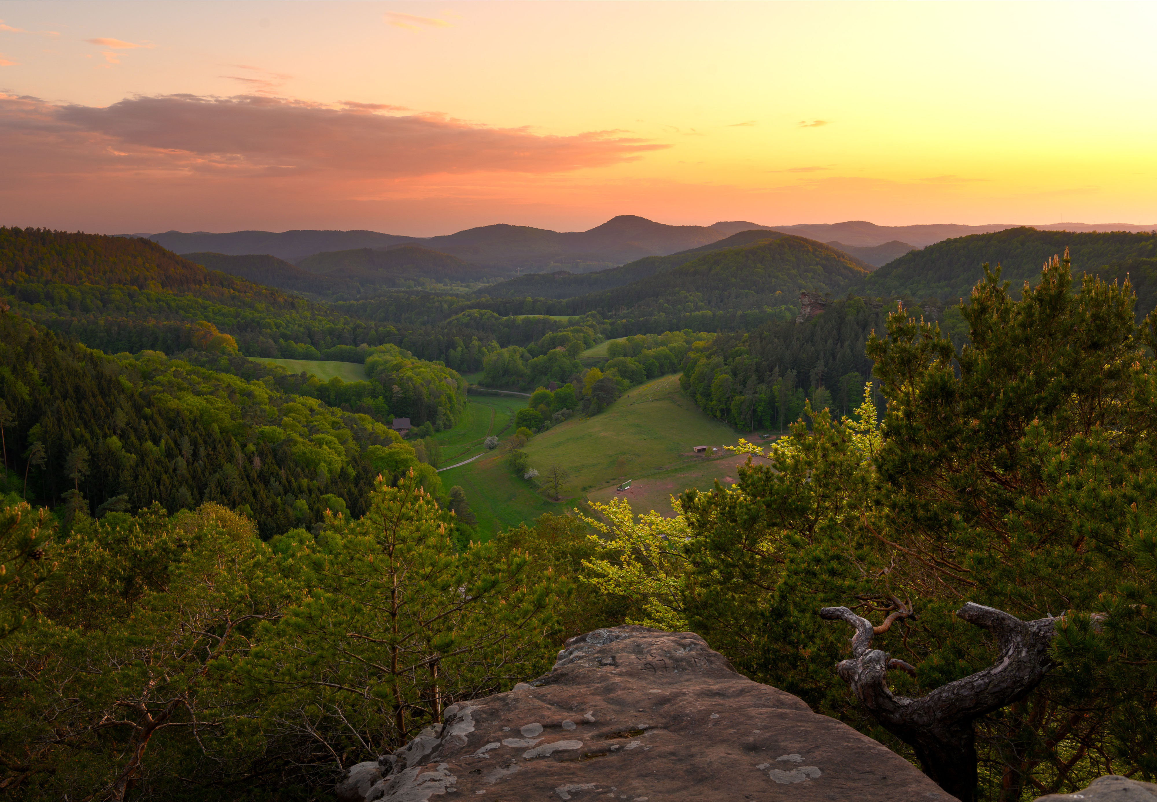 Der Pfälzerwald - Eine Region zum verlieben - Yannick Scherthan Photography