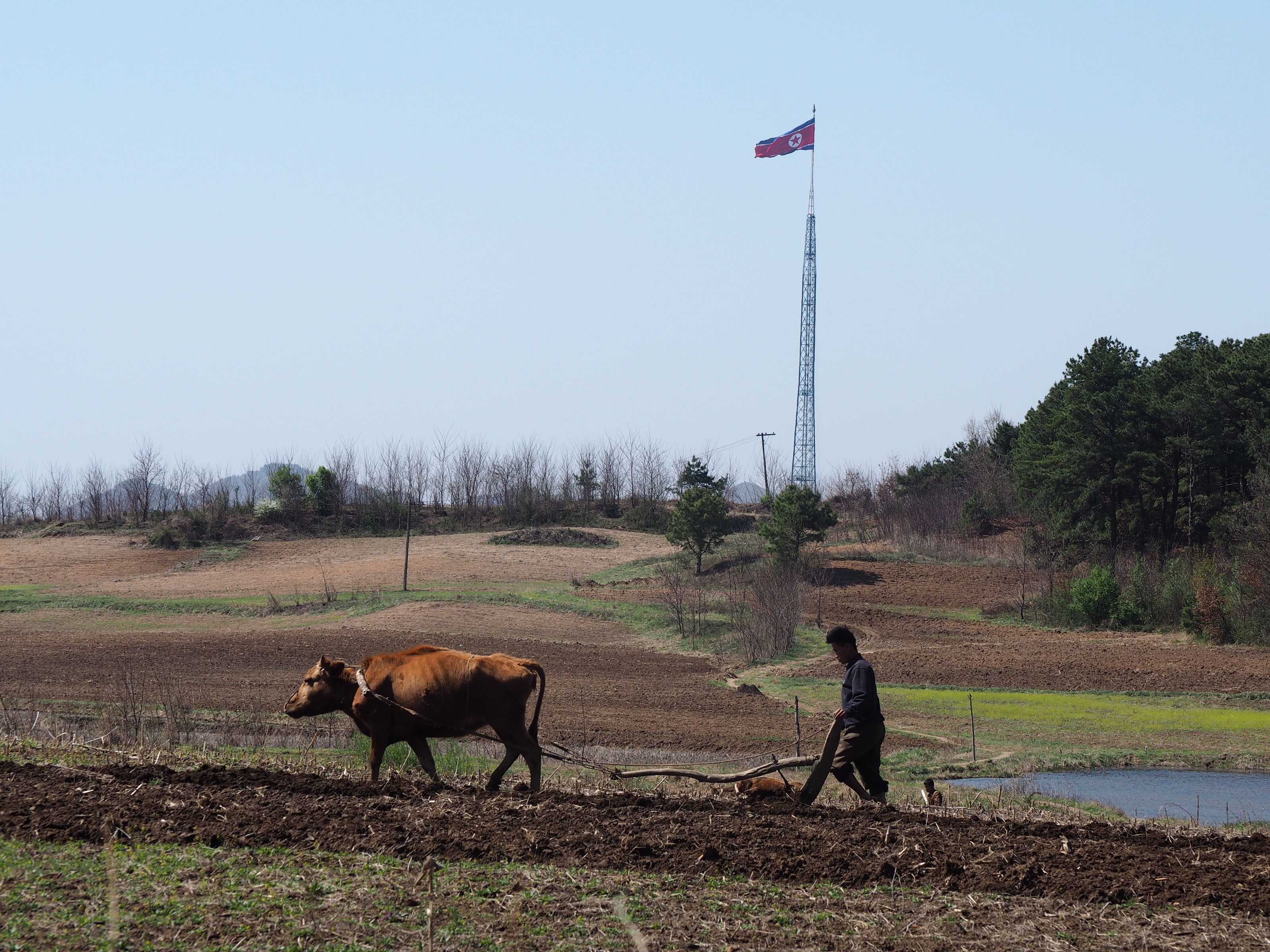 6. Tag - Kaesong/DMZ/Pjöngjang - toshi-in-nordkoreas Webseite!