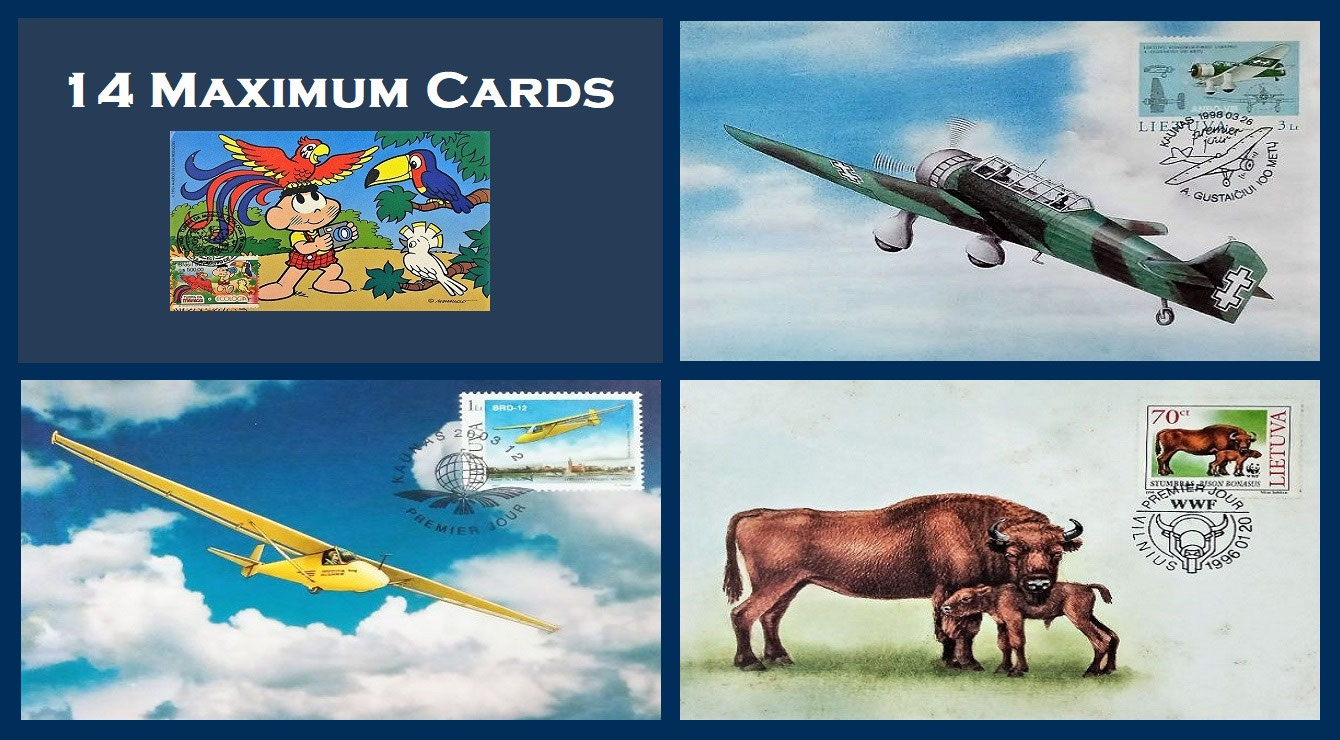 14 Maximum Cards - Expressions