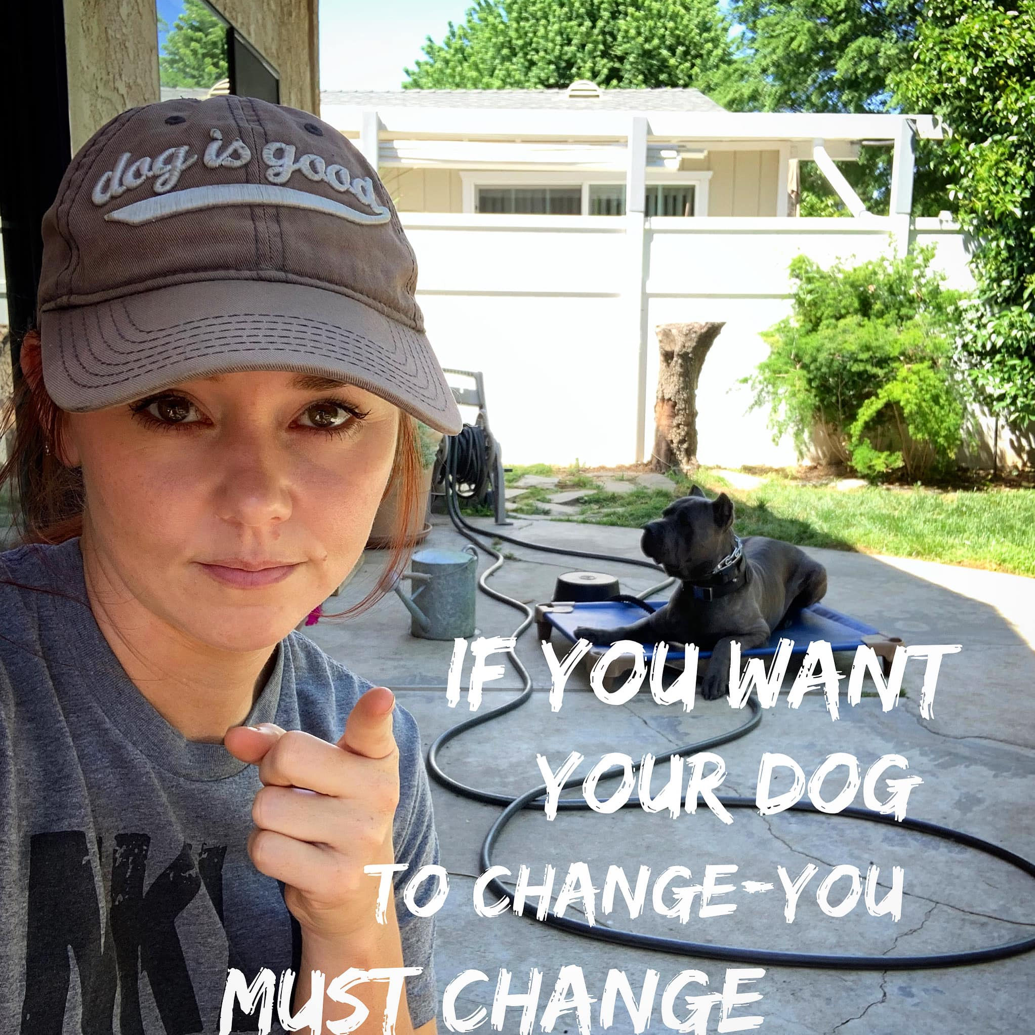 If you want your dog to change, you must change - Ruff Beginnings Rehab ...