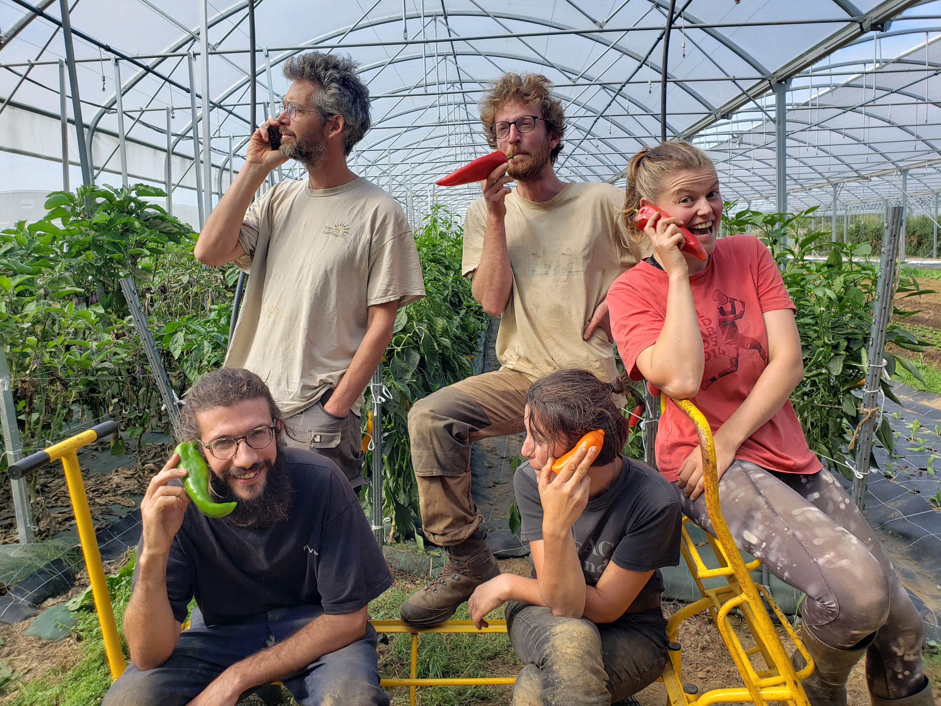 Envie de rejoindre notre équipe pour la saison 2024 ? - Les Jardins de la Rue - Maraîchage Bio à ...